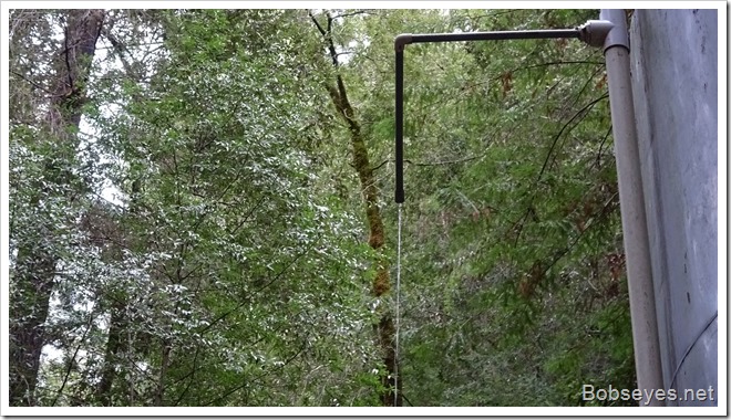 I’ll Show You How to Install a Sanitary Spring Tap for Very Little Cost ...